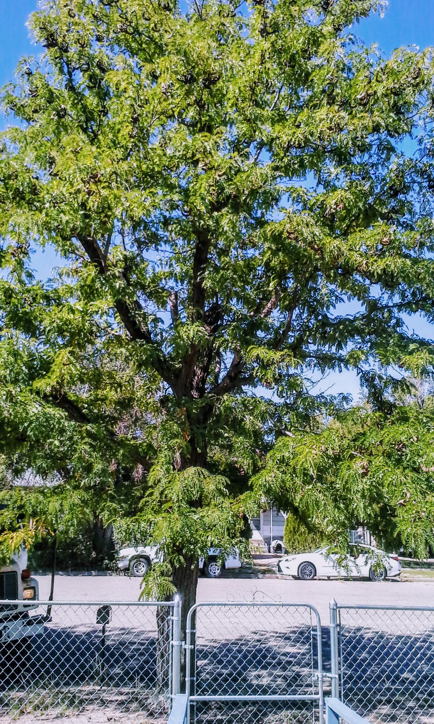 Saddened | Bertram's Blog